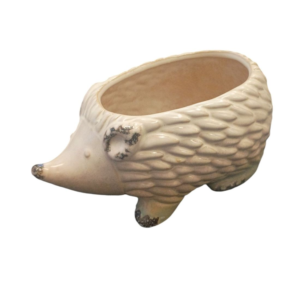 2A_CERAMIC_HEDGEHOG_POT_TPA026_3_1024x1024.png?v=1739177235
