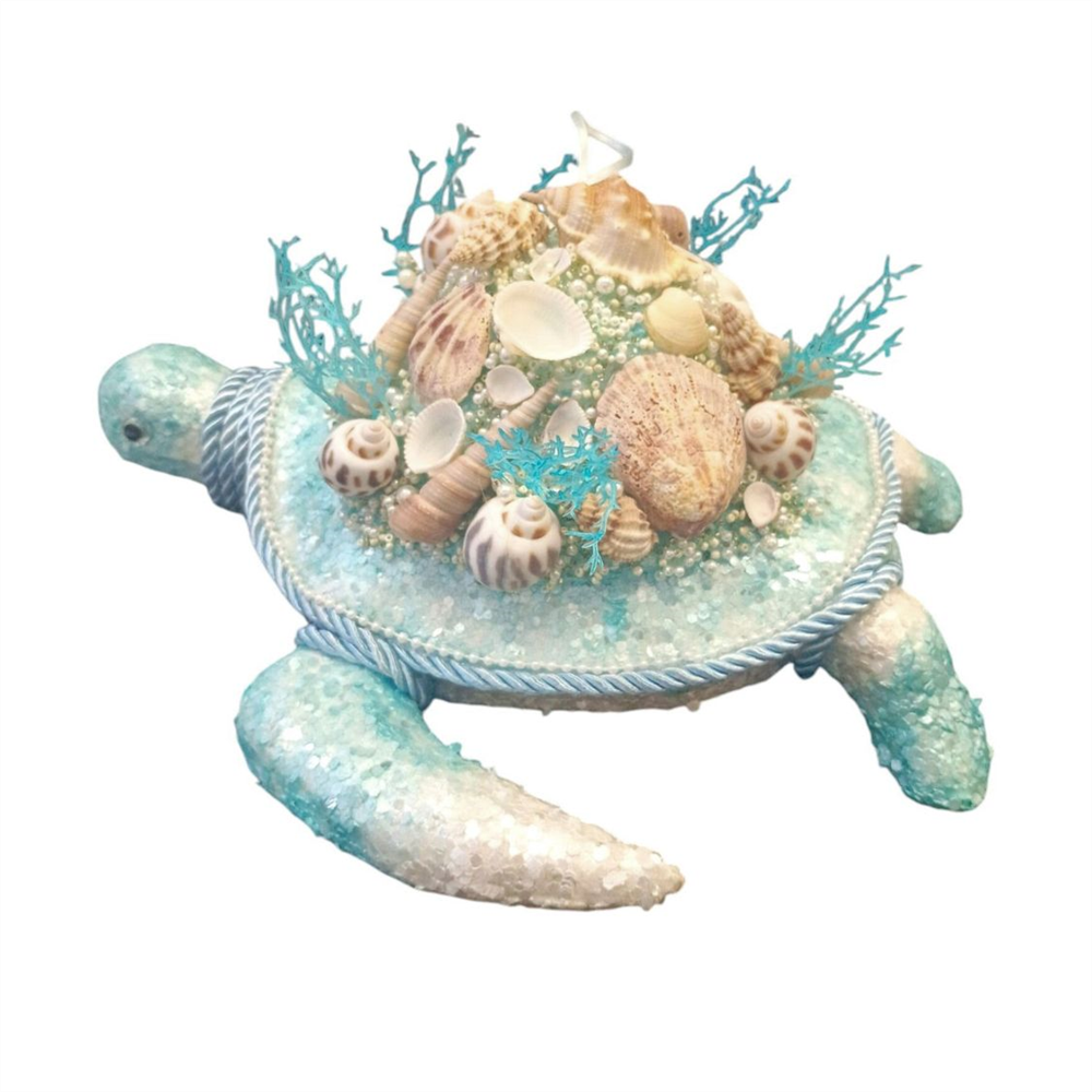 Foam_Turtle_BOS001_3_1024x1024.png?v=1740030335