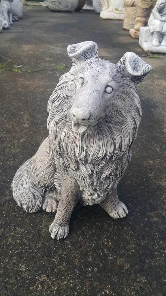 11_1024x1024.jpeg?v=1563164178