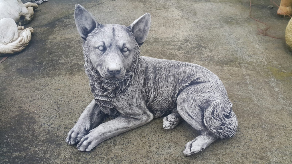 1_1024x1024.jpeg?v=1563163474