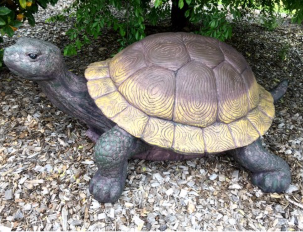 Screenshot_2020-03-02_at_2.58.03_pm_1024x1024.png?v=1583121502