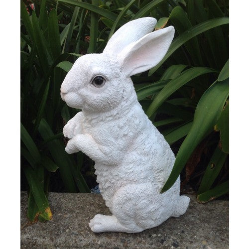 img_2776_1_1024x1024.jpg?v=1574382899